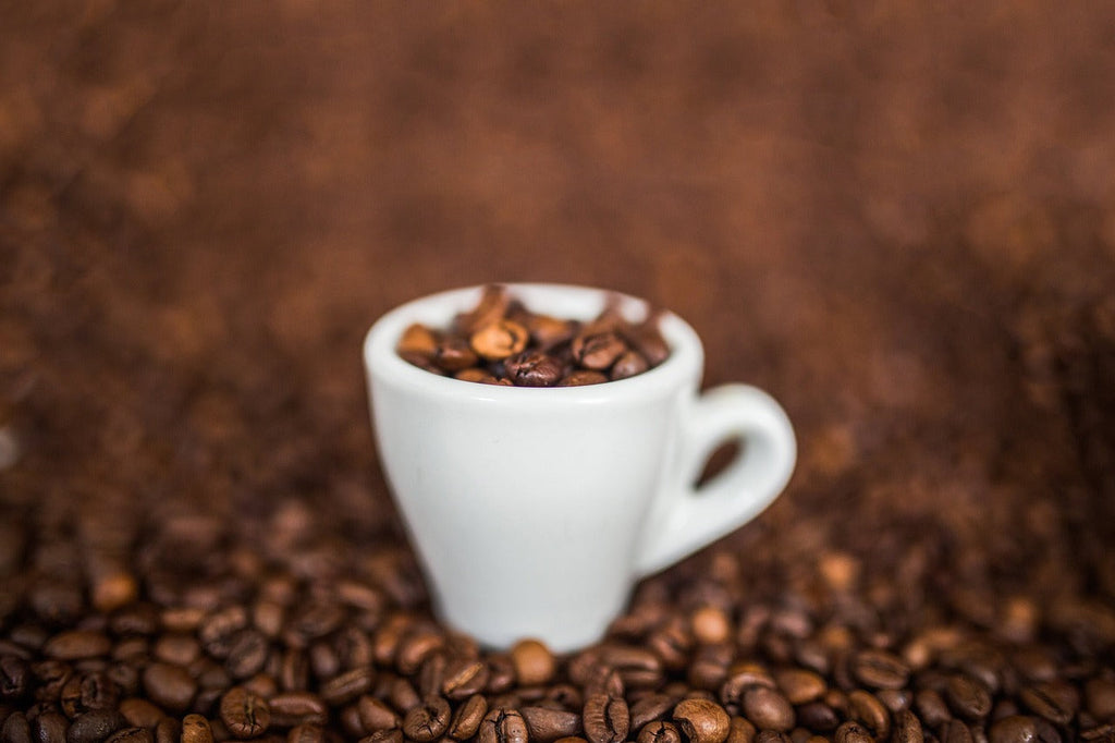 Nomads Roastery