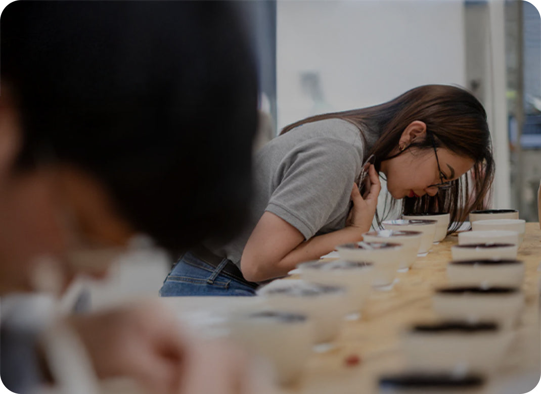 Our Story & Journey | Nomads Roastery